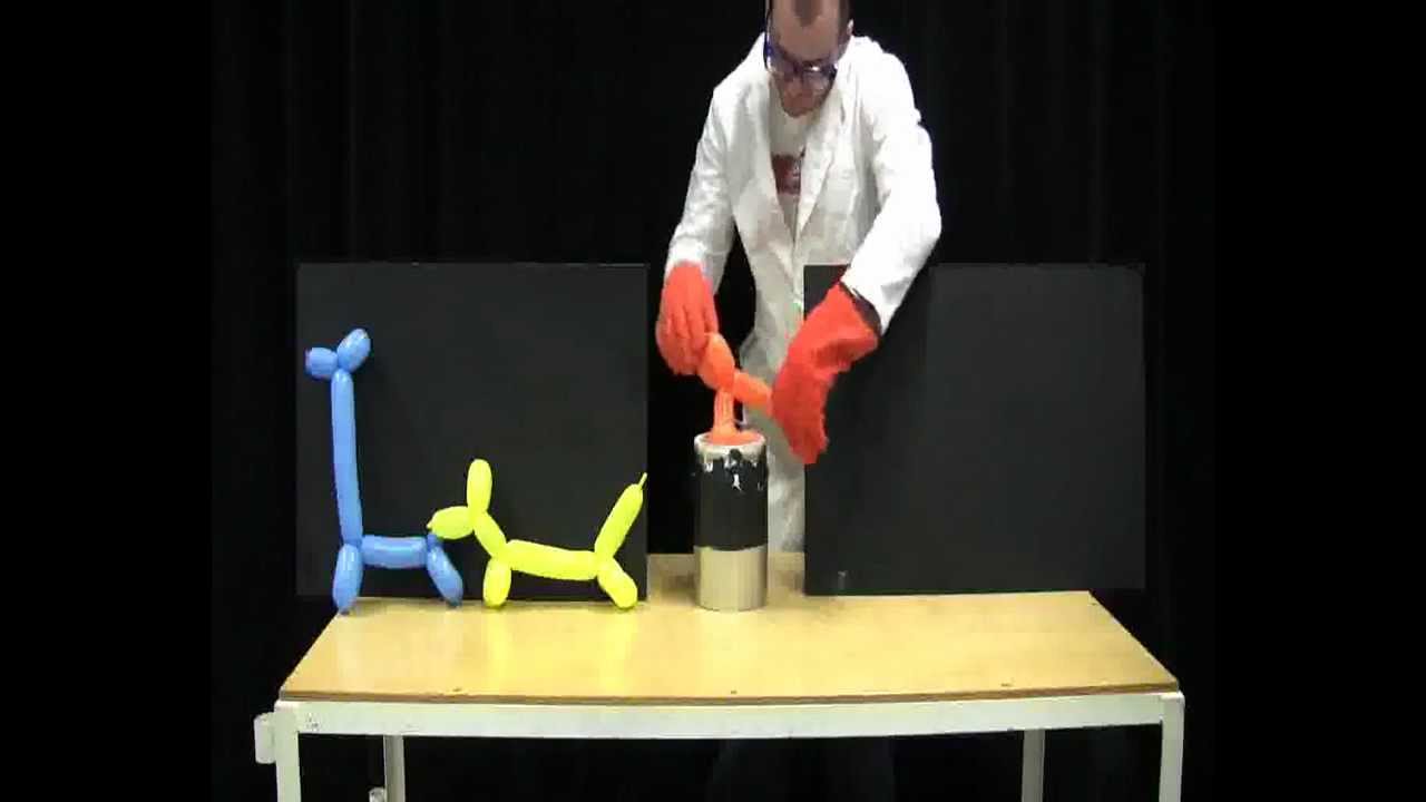 Balloon dipped in -205 degrees Celsius liquid nitrogen! - YouTube
