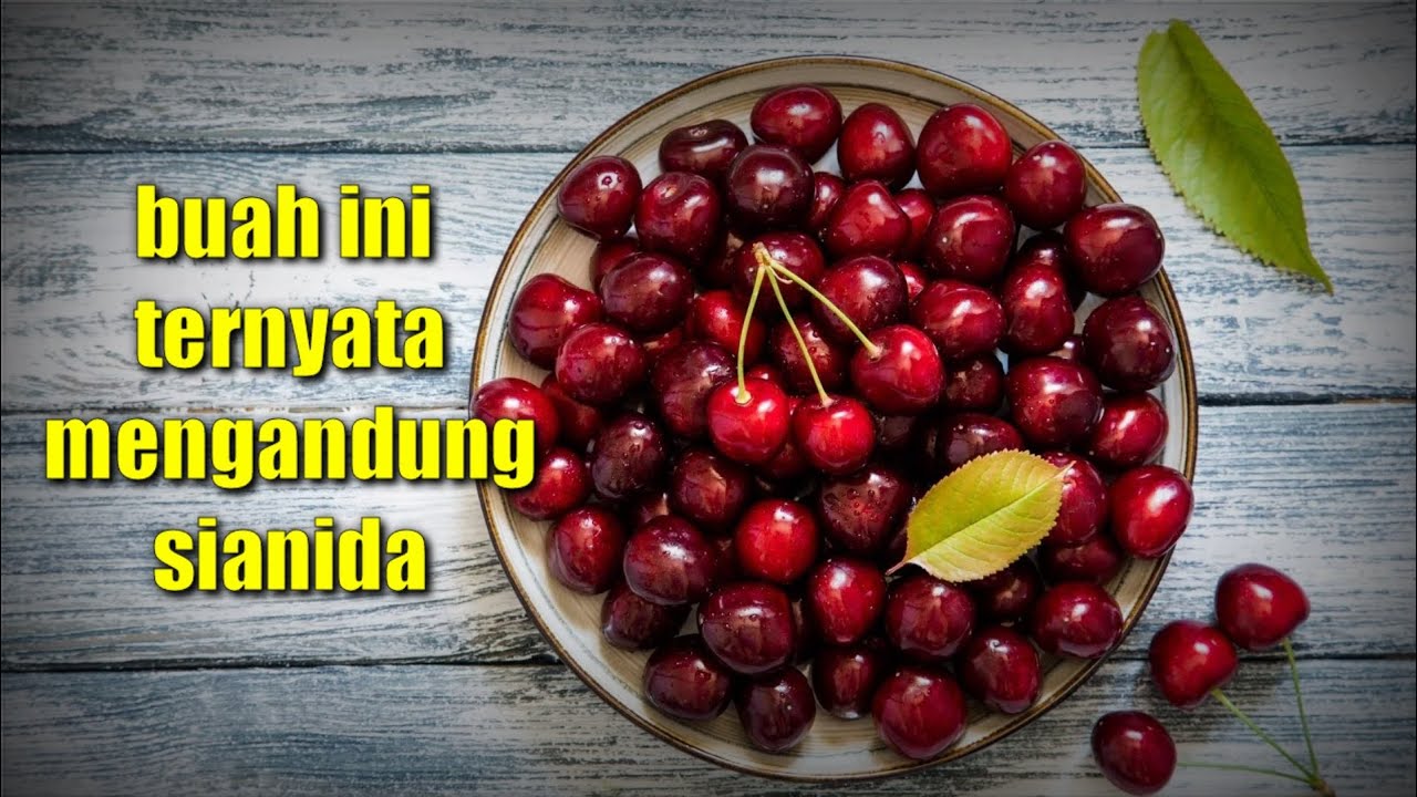 5 Jenis Tanaman yang Mengandung Sianida, Sering Dikonsumsi Manusia ...