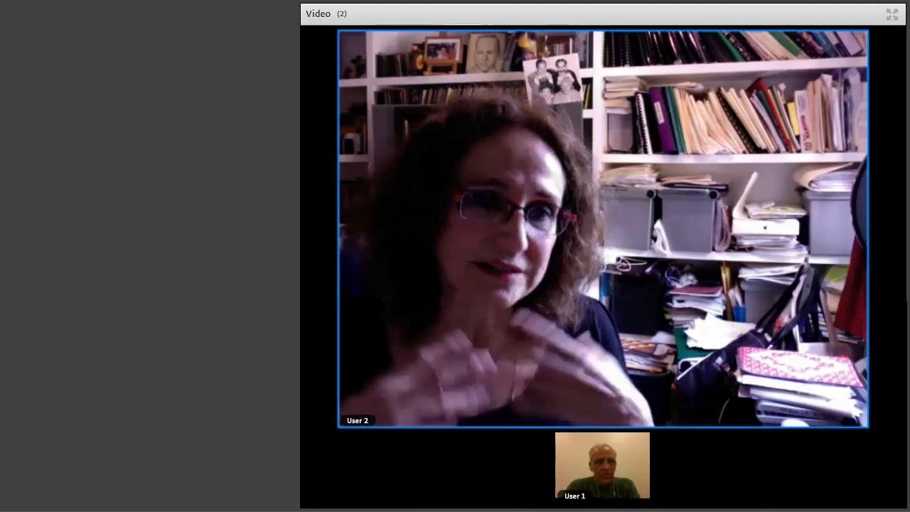 "Psychosis: Key Psychoanalytic Concepts" with Danielle Knafo PhD. - YouTube
