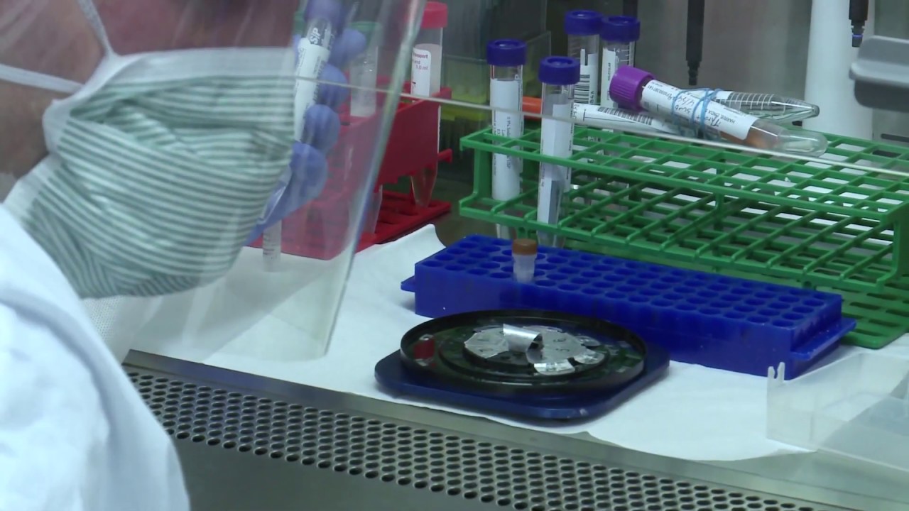 UMC Expands Testing with New Lab Construction - YouTube