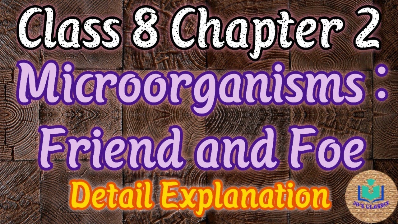 Chapter 2_Microorganisms: Friend and Foe_Class 8 Science NCERT #science ...