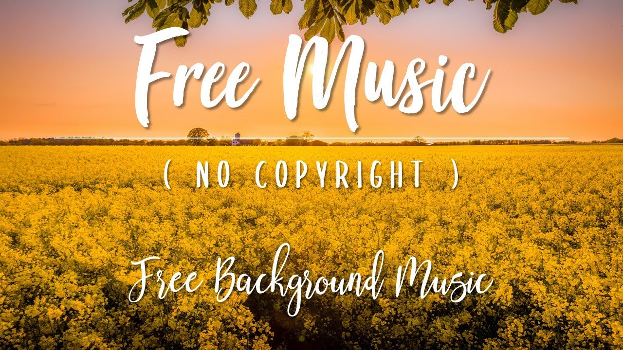 Nettson - Free Background Music Playlist | No Copyright Music | Heart ...