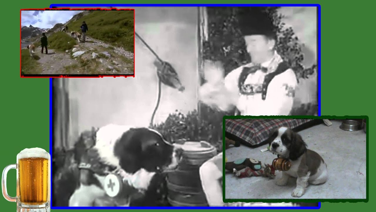 Once An Austrian Went Yodeling - YouTube