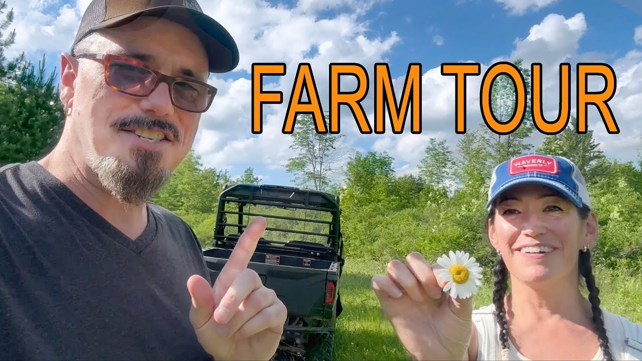 Big Spruce Farm Tour (impromptu homestead inspection) [vlog 14] - YouTube