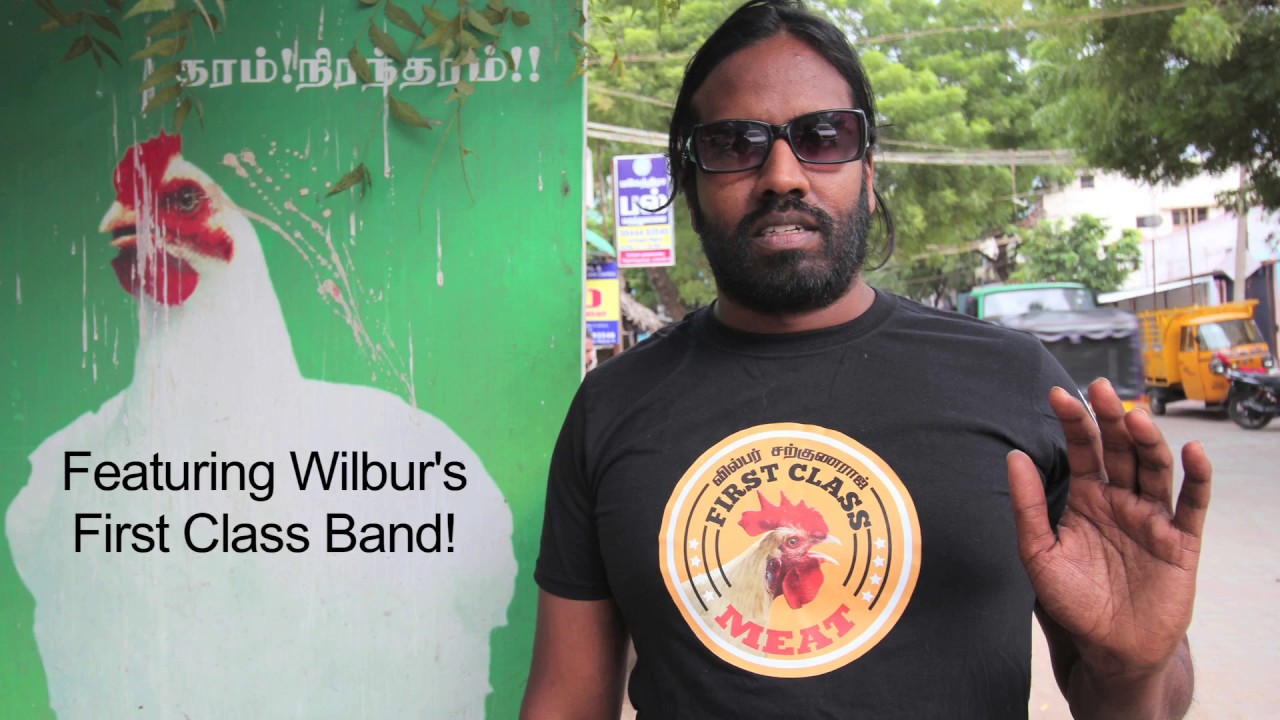 Teaser: Wilbur & The Simple Superstars: Chicken 65 - YouTube