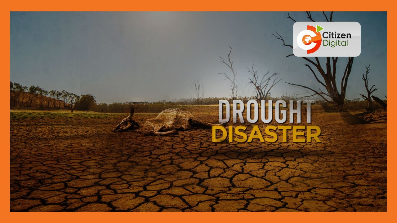 Thousands of Balambala residents face starvation - YouTube