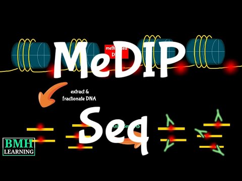 MeDIP-Seq | DIP-Seq | Methylated DNA Immunoprecipitation Sequencing | 5mc & 5hmc identification ...
