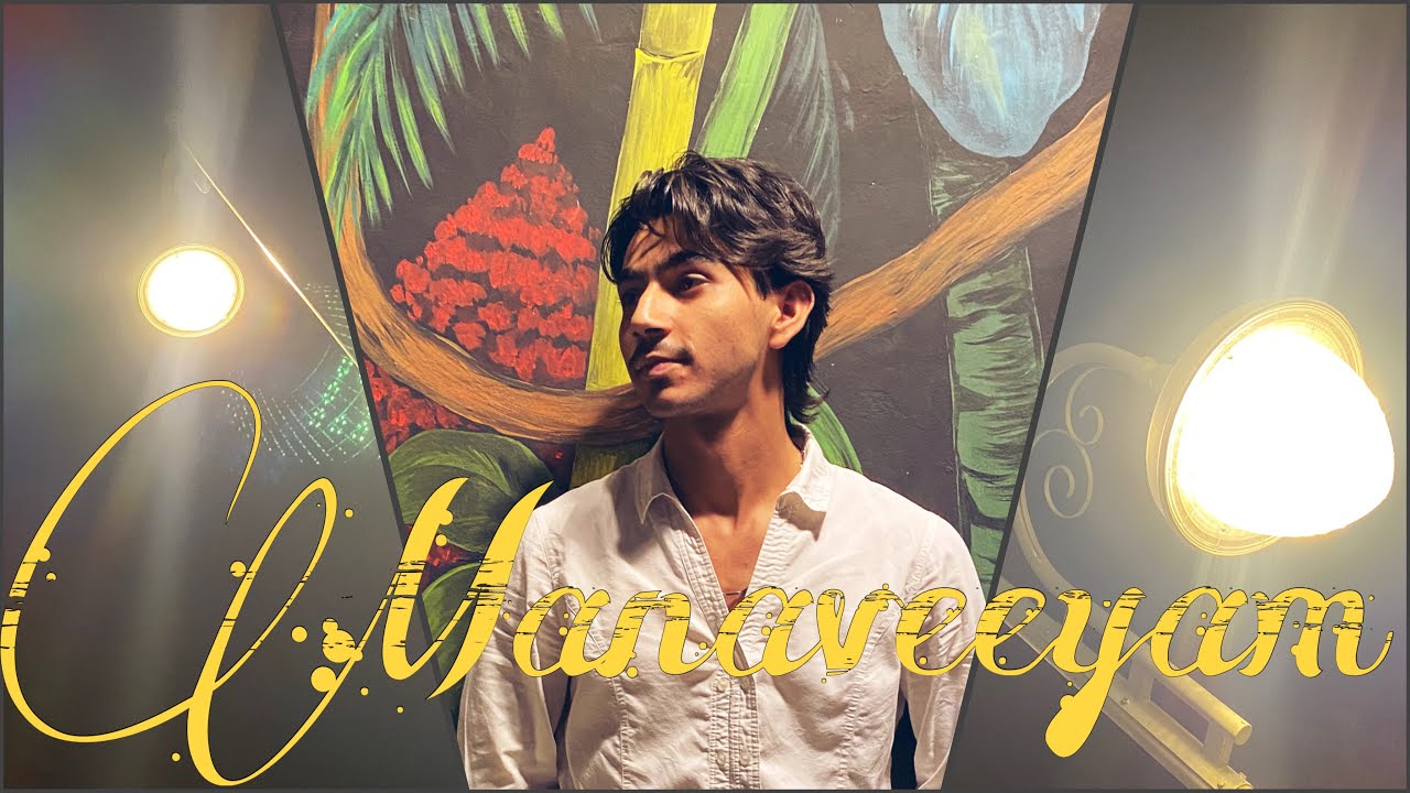 Manaveeyam Veedhi | cinematic vlog trivandrum nightout |travelgentanish ...