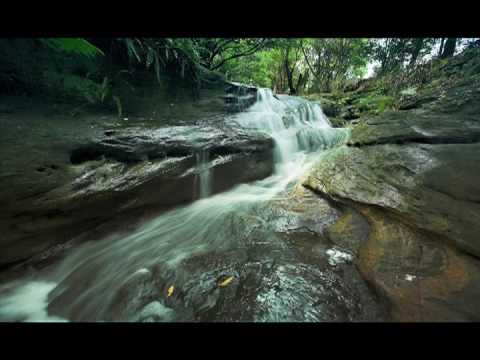 "So Was Red" by Thomas Newman - YouTube