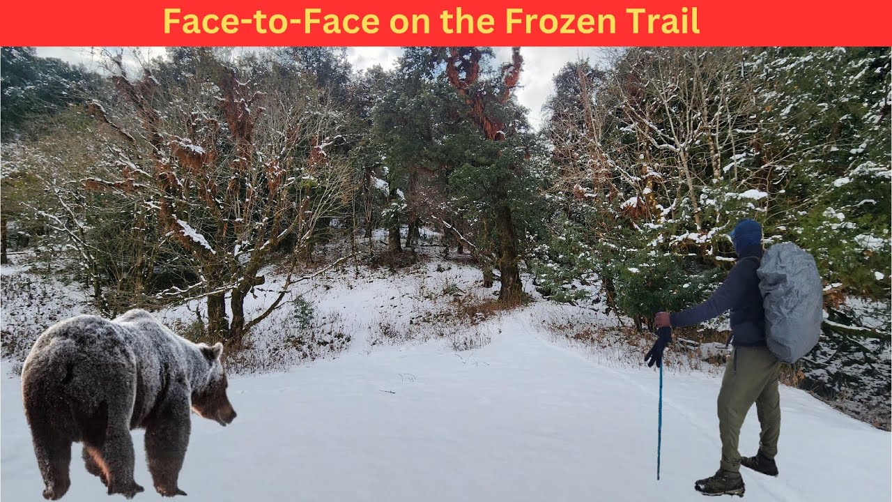 FACE TO FACE with a bear while trekking in deep Snow | Deoriatal to ...