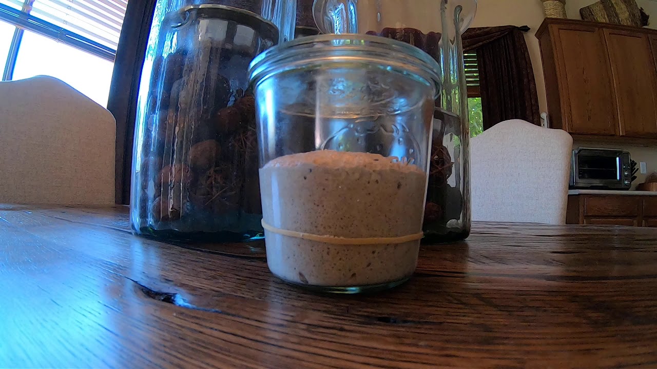 Sourdough Starter Rise - YouTube