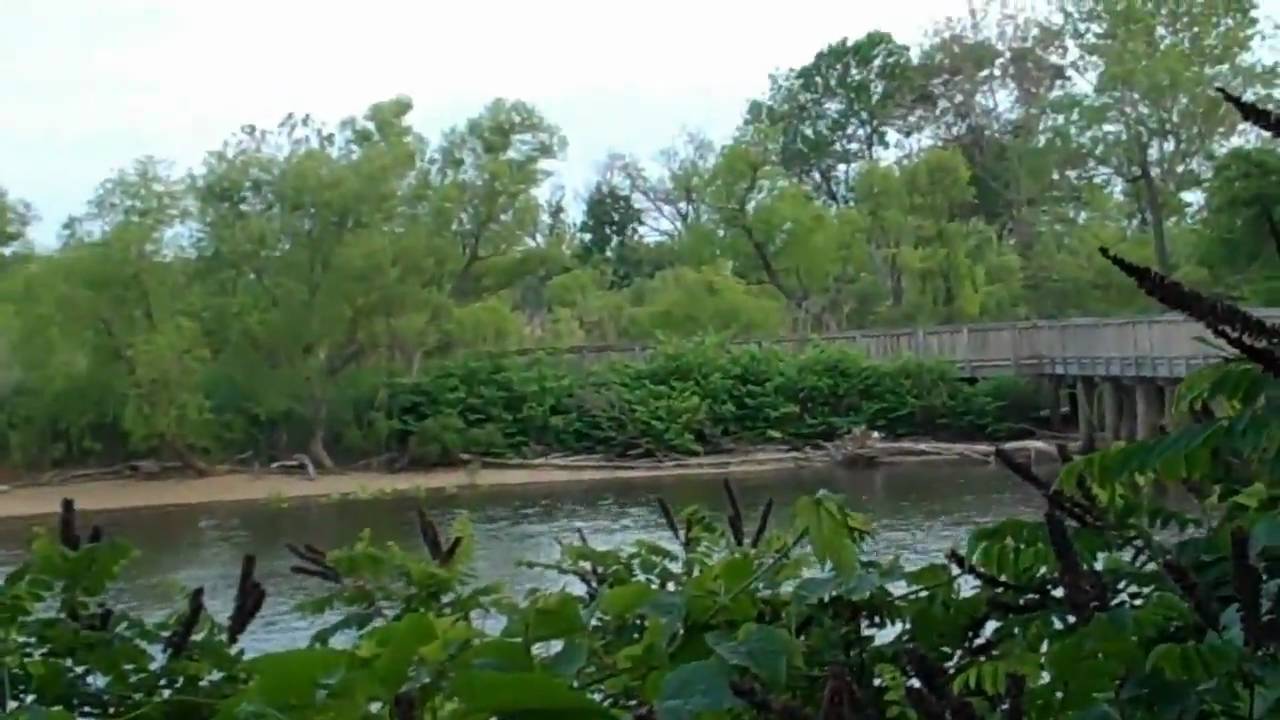Cove at Palmyra Cove Nature Park - YouTube