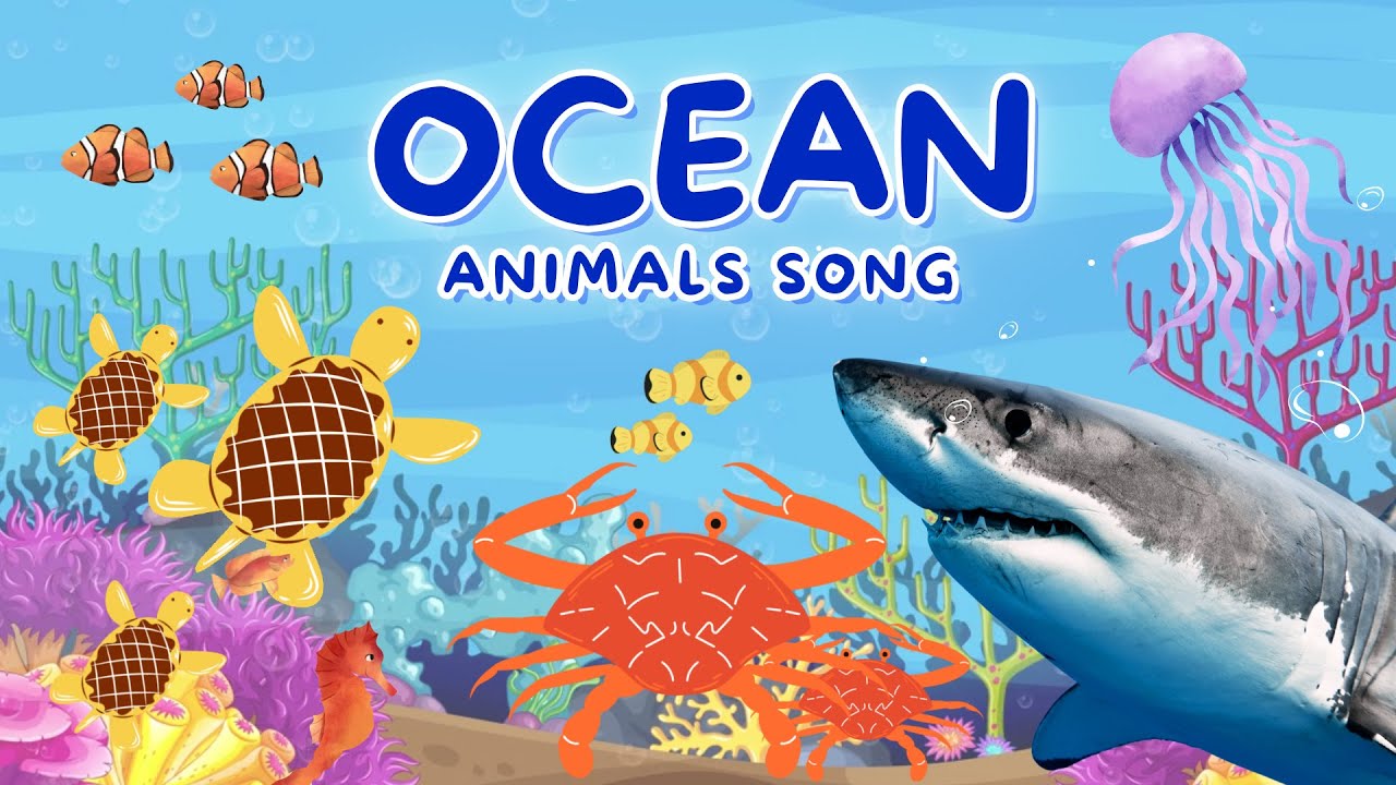 Fun Learn About Ocean Animals Song 🐠 | Sea Animals for Kids 🌊 ...