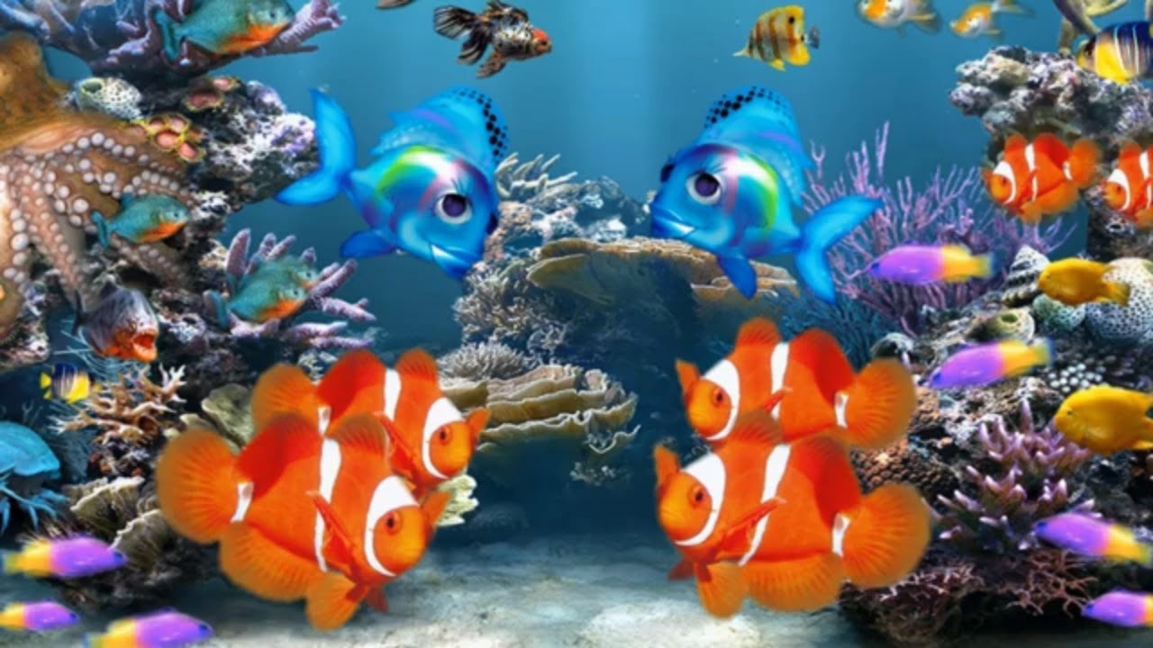 Put The Fish In The Tank, Baby Cute Animals Video, DIY Aquarium ...