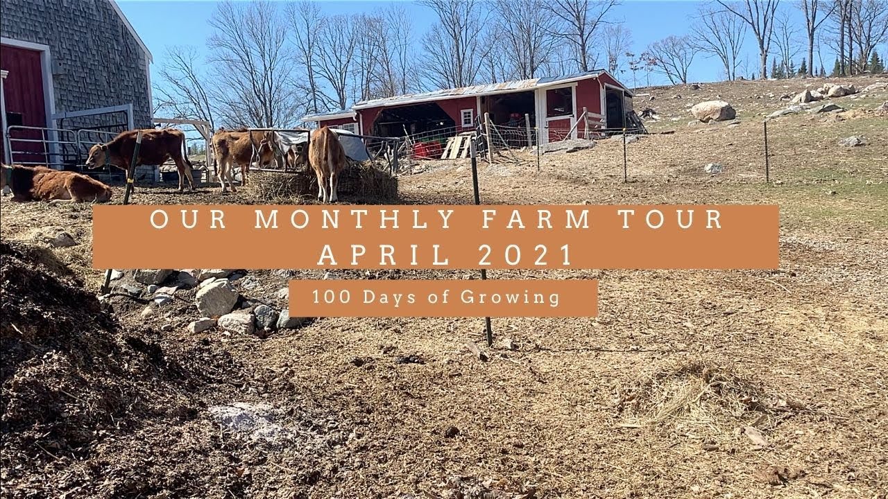 Farm Tour April 2021 - YouTube