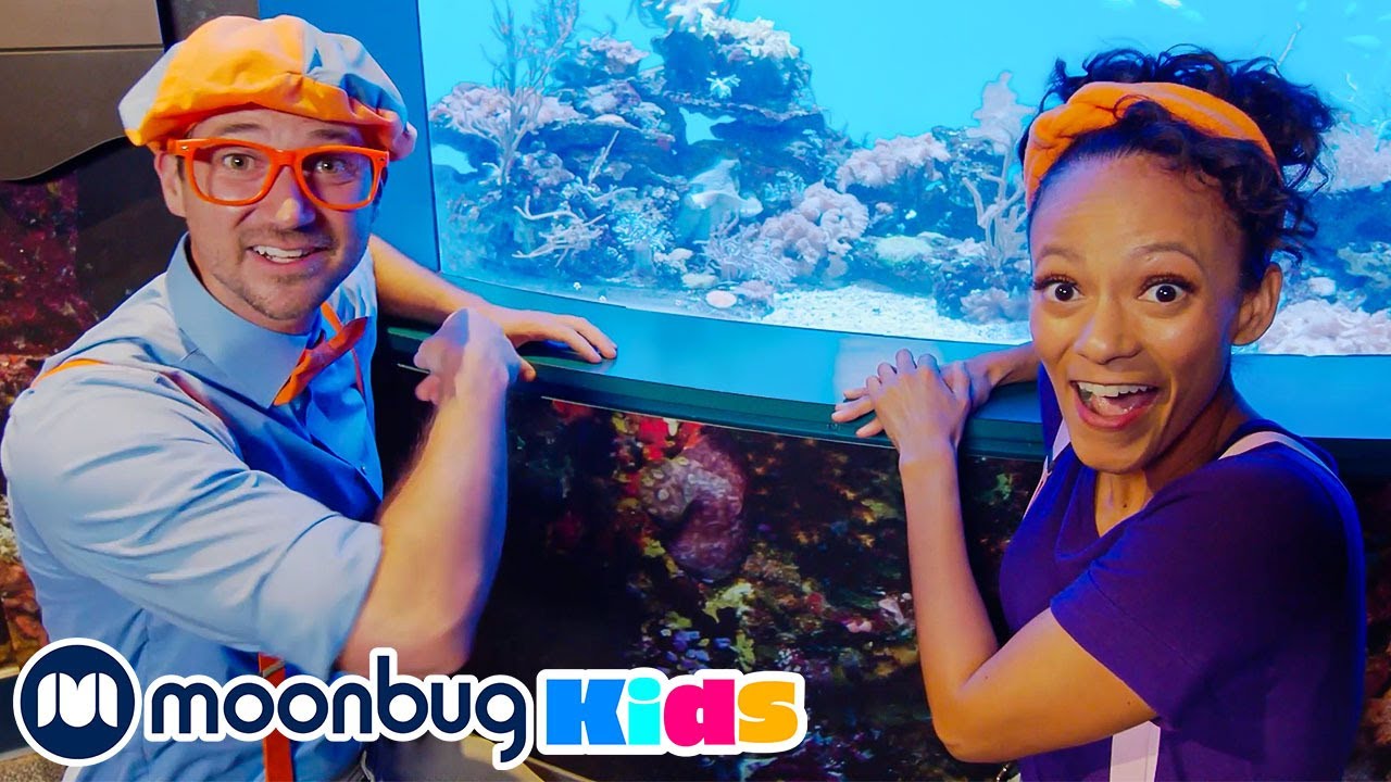 Blippi Visits Aquarium of the Pacific | Fun and Educational Videos for ...