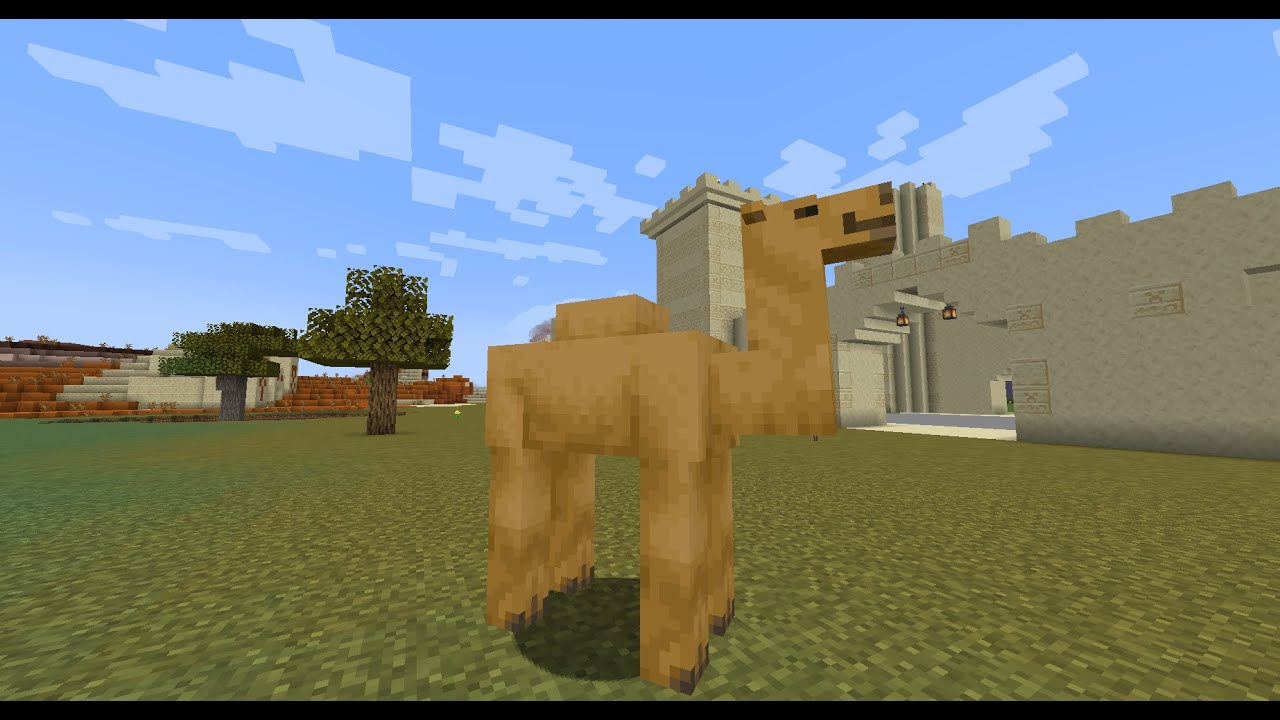 Tactical Camel update, για πρώτη φορά 1.20 version στον server - YouTube