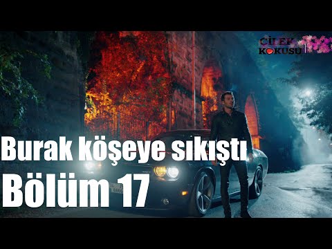 Çilek Kokusu 17. Bölüm - Burak Köşeye Sıkıştı