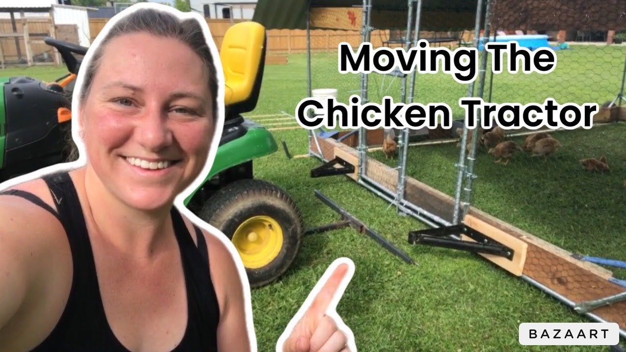 Chicken Tractor Set Up & How to Easily Move It! - YouTube