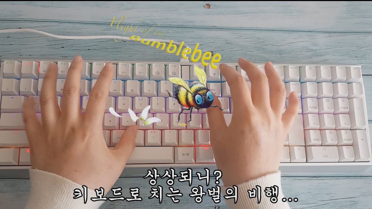 컴퓨터 키보드로 '왕벌의 비행'을...?| Flight of bumblebee on the computer keyboard ...