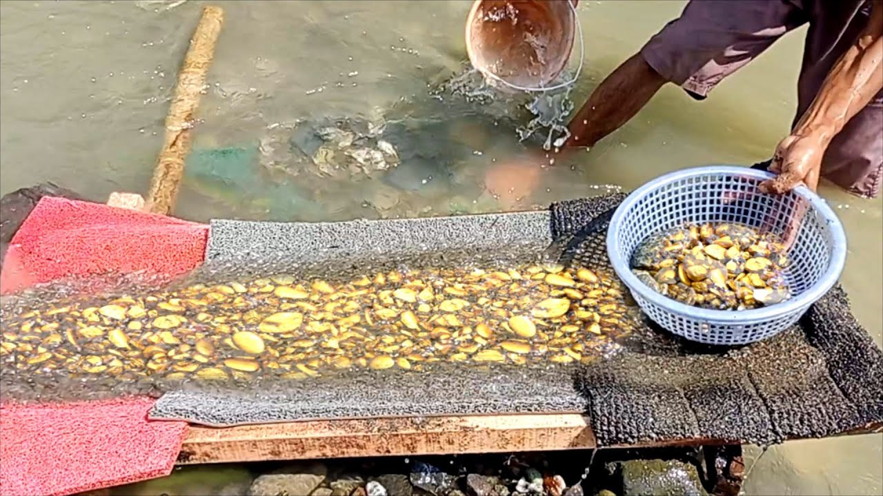 METHOD OF FILTERING GOLD EASY,,,MENEMUKAN HARTA KARUN EMAS~LANGSUNG ...