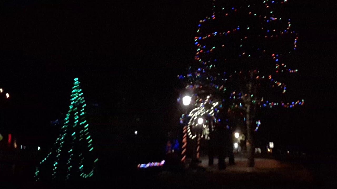 🎄 Bowring Park Christmas Lights 🕯️ - YouTube