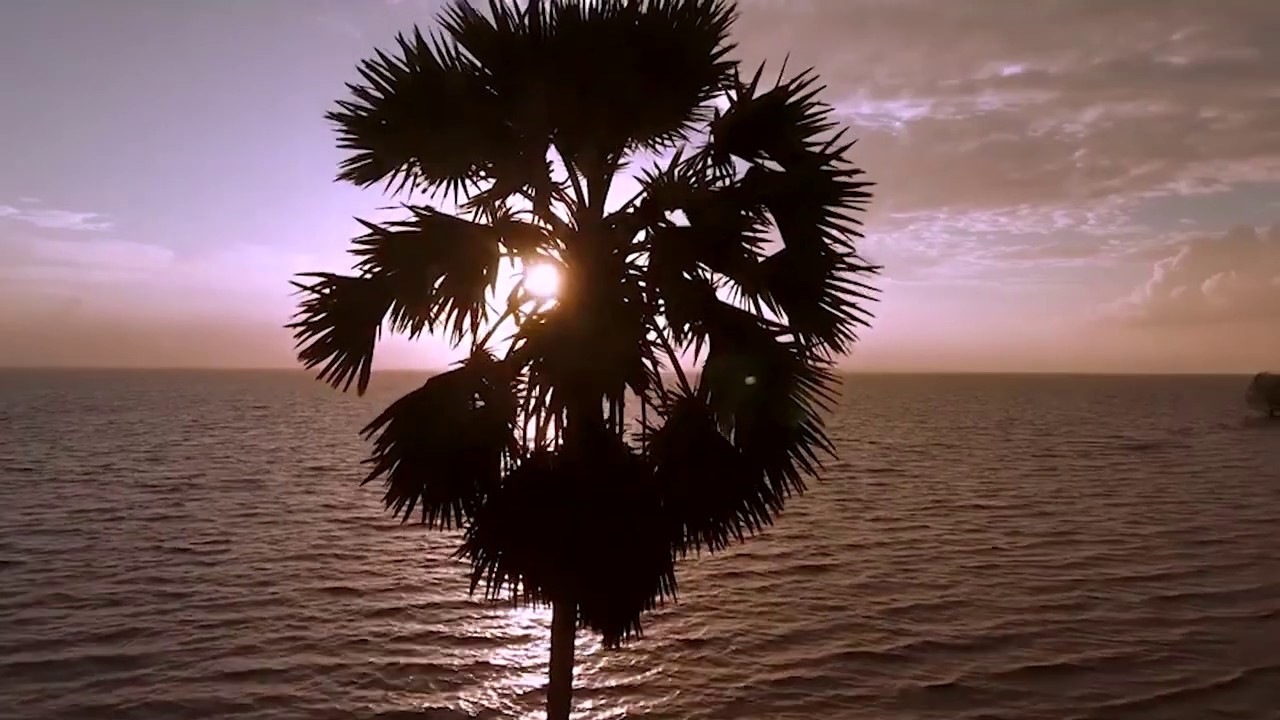 Phatthalung : Thailand Travel Destination Attractions - YouTube