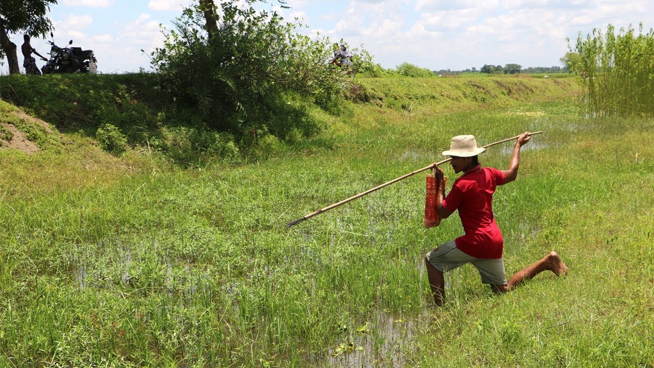 Traditional Fish Hunting | Boy Hunting Fish using Old Fishing Tools ...