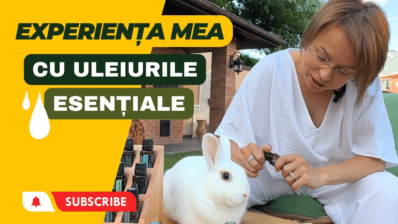 Experienta mea cu uleiurile esentiale. Rezumatul celor 20 de ani de ...