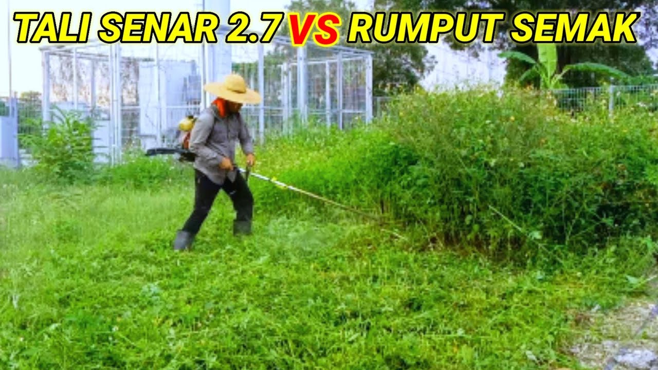 terpaksa pakai Tali Senar 2.7mm,Babat Semak Dengan mesin rumput - YouTube