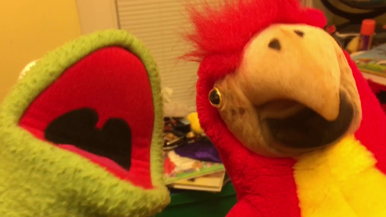 The Cool Crew - YouTube