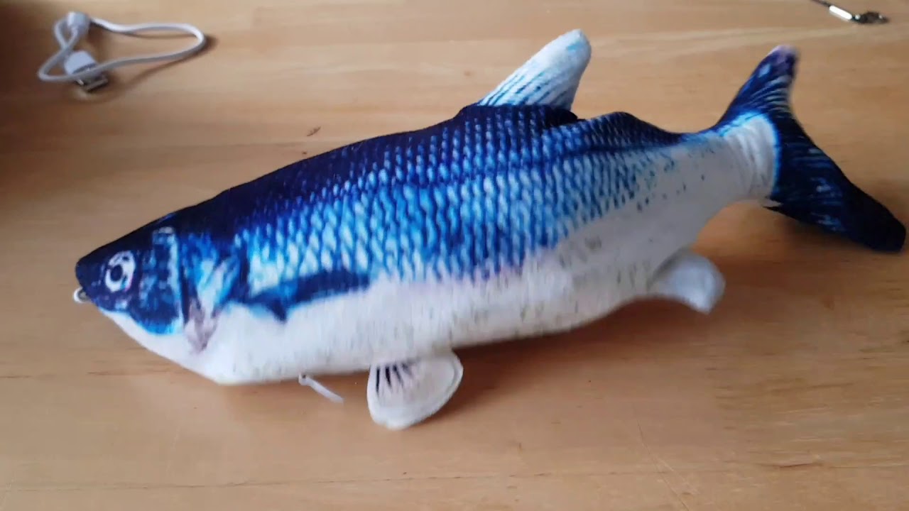 FLIPPITY FISH - electric cat toy - our first test - Cattery Calmcat ...
