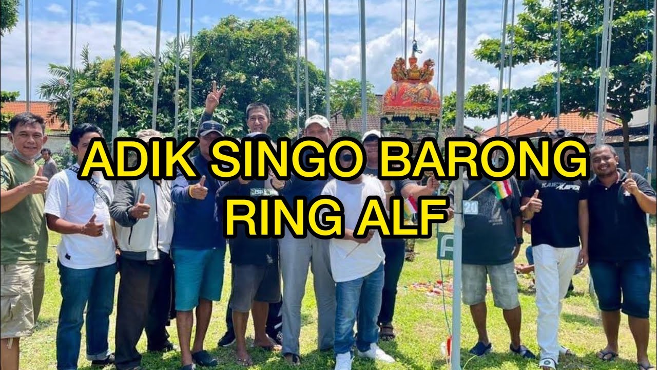 Perkutut Gacor Perkutut Bangkok Ring ALF Malang - YouTube
