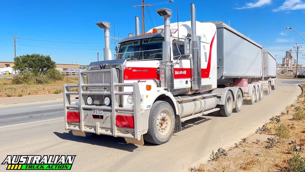 Western Star 4800 & Kenworth T659 grain trucks - YouTube