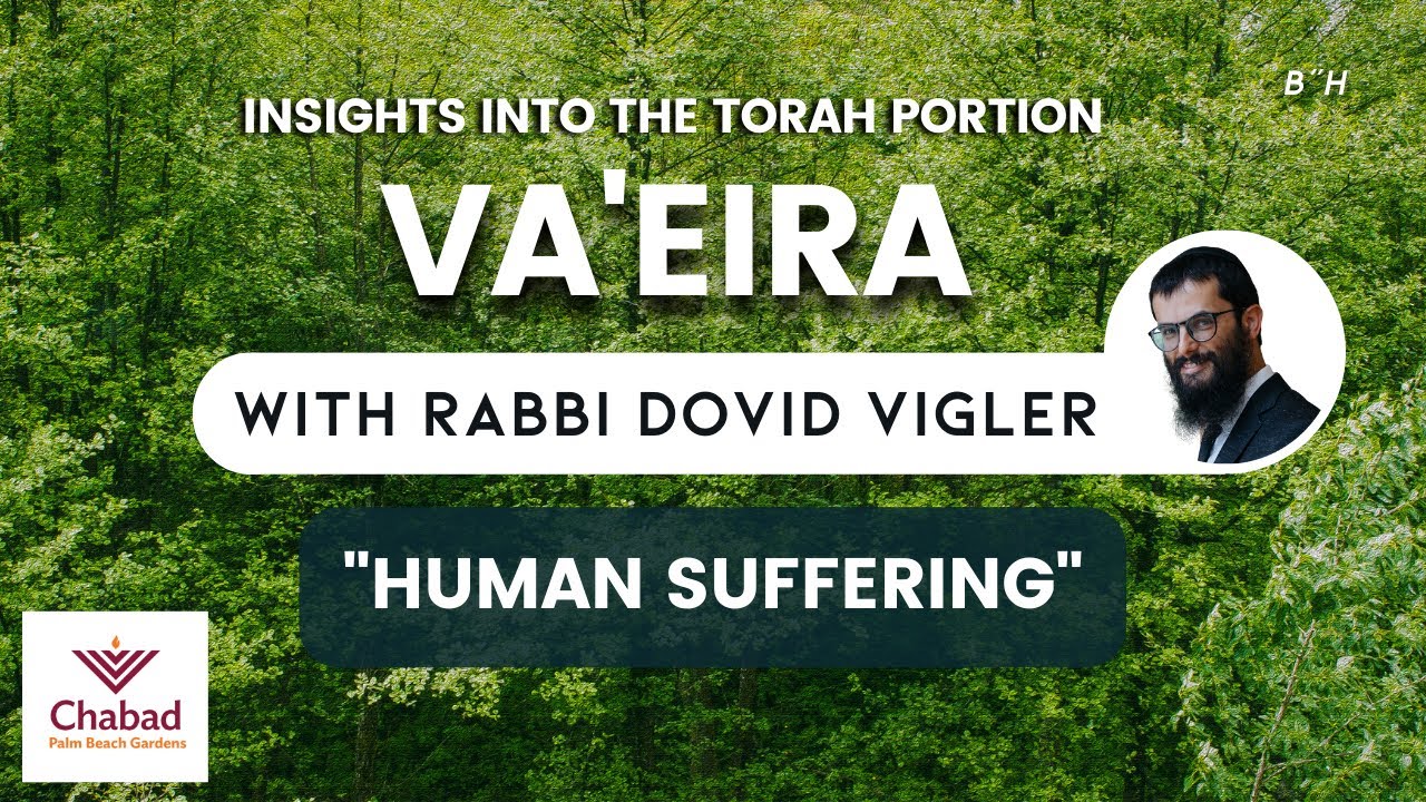 Parshas Vaeira: Human Suffering (Insights Into the Torah Portion with ...