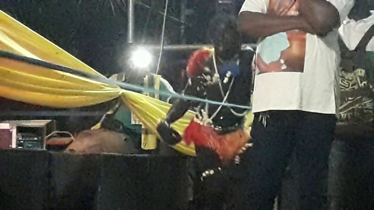 dança balanta 2 - YouTube