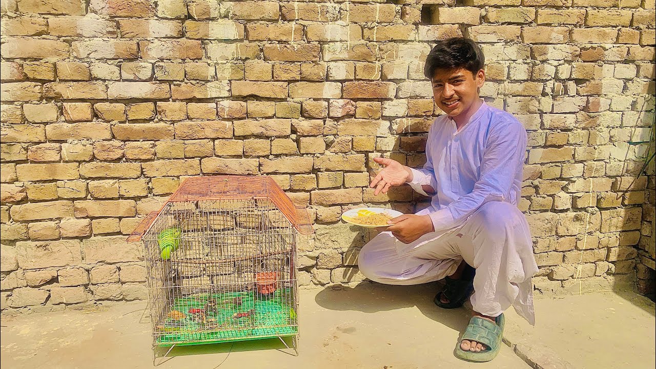 Tote ka naam? Bhai prank ho gya. #ChotaGillJutt #Asad #Mujeeb #tota # ...