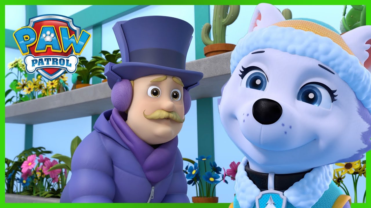 Everest Saves Mayor Goodway in the Snow! ️| PAW Patrol Rescue Episode ...