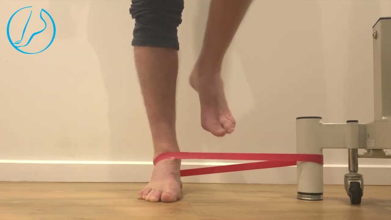 Resisted Heel Raise with Exercise Band - YouTube