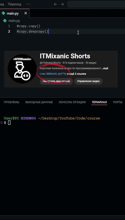 ПОВЕРХНОСТНАЯ И ГЛУБОКАЯ КОПИИ В PYTHON | ITMixanic #python #coding #programming - YouTube