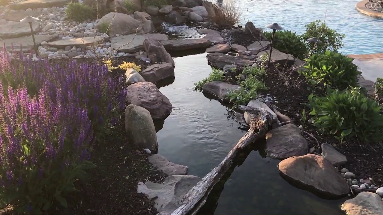 Largest pond, stream I have built. - YouTube