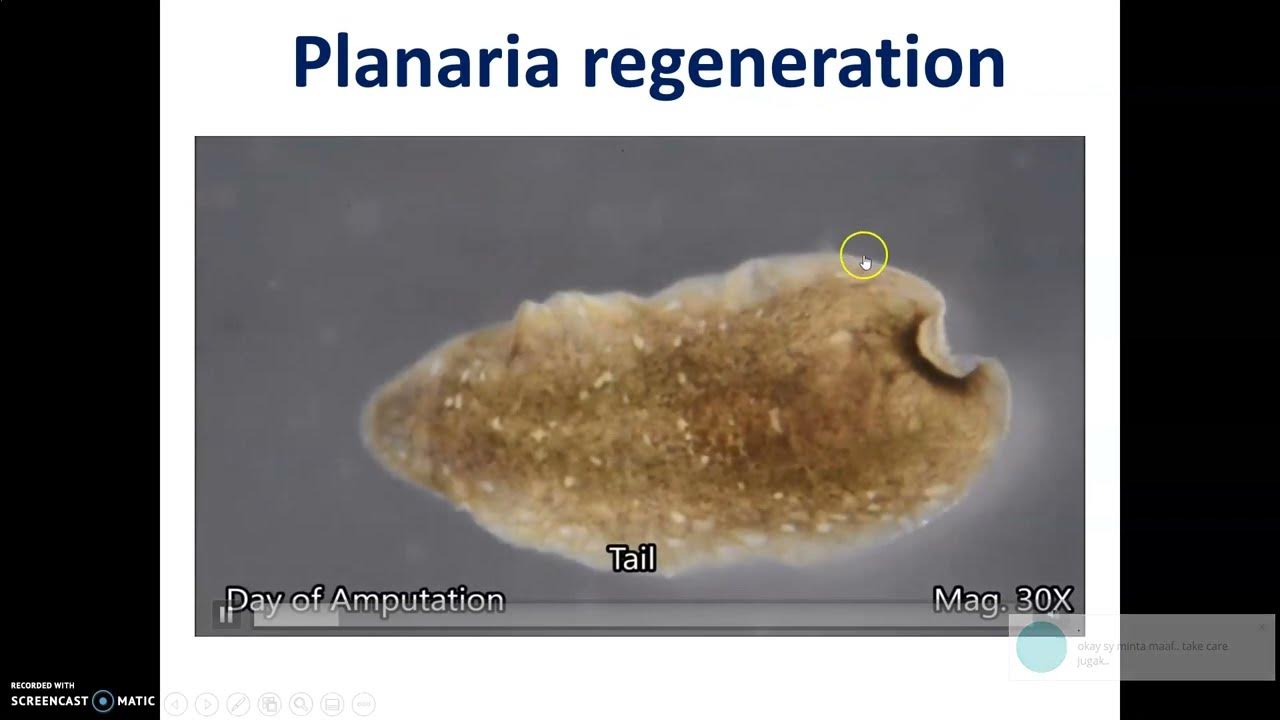LECTURE CHAPTER 3 PART 1 - YouTube