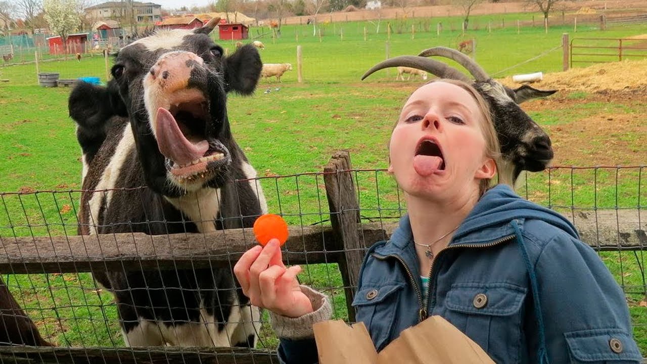 God of Memes (part. 11) | Dank memes compilation | Try not to laugh ...