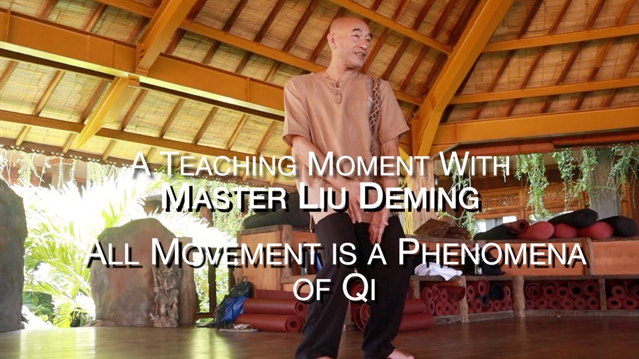 All Movement is a Phenomena of Q: A Teachng Moment with Master Liu ...