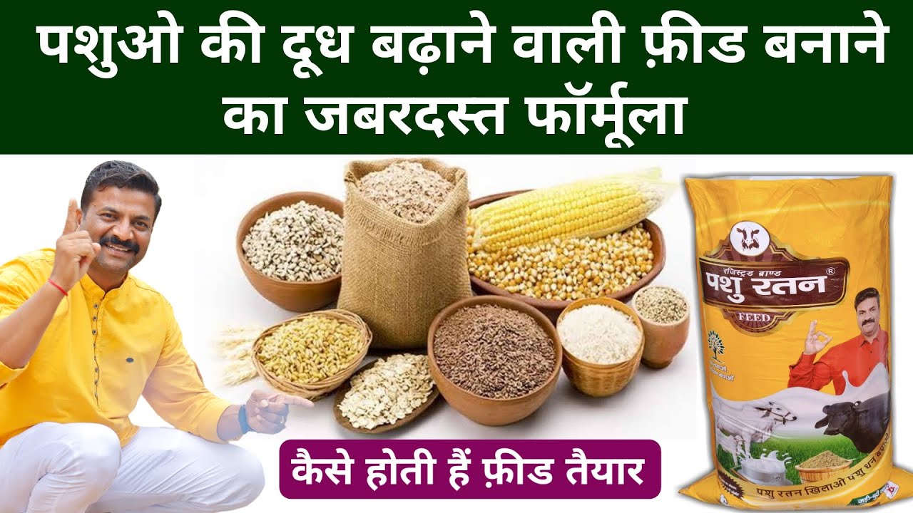 दूध बढ़ाने वाली फ़ीड घर पे कैसे तैयार करें👌| Milk increase Feed formula ...