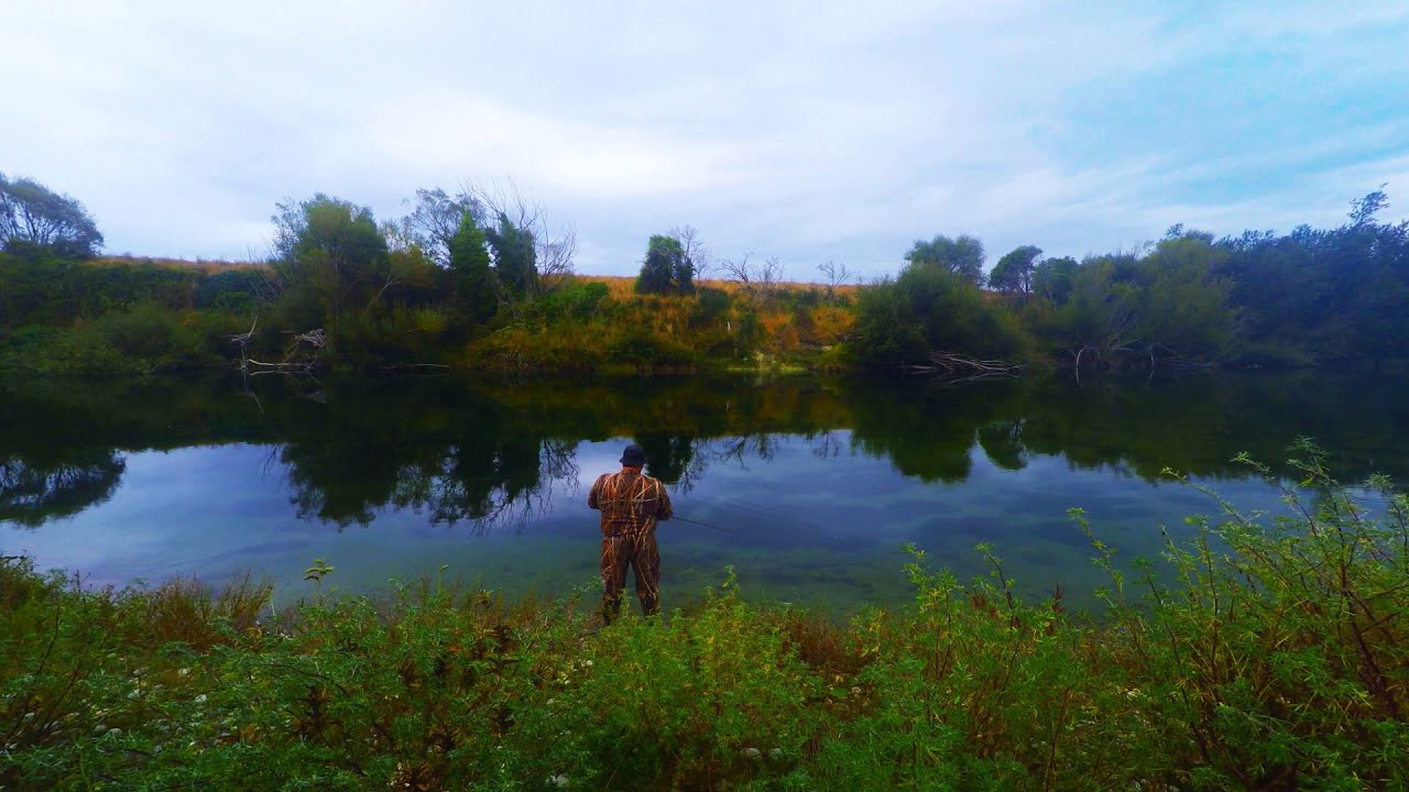 Fishing the Opihi River. - YouTube