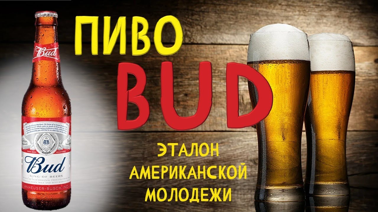 Пиво не Пиво . Честер и Bud ! - YouTube
