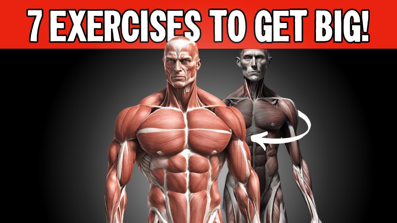 The Only 7 Exercises Men Need To Get BIG! - YouTube