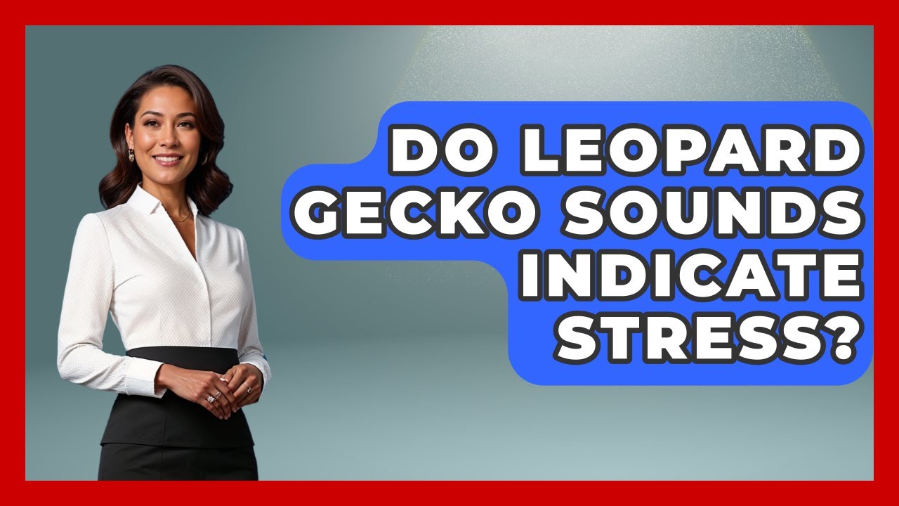 Do Leopard Gecko Sounds Indicate Stress? - Reptilian Wonders - YouTube