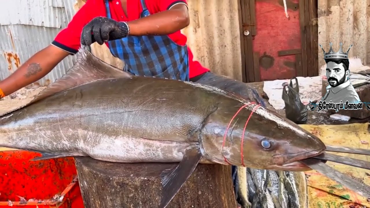 கடவுளால் மீன் | kadora FISH 30kg FiSH pulli Gutting FISH | Kasimedu | 🔥 ...